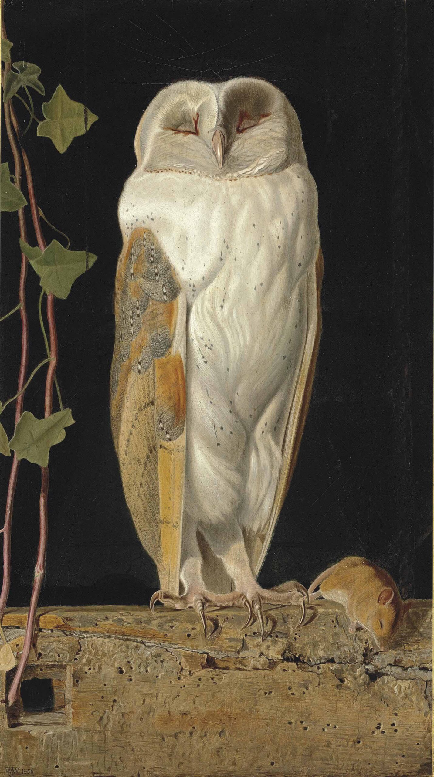 The Owl – William James Webbe | Cedric Suggests